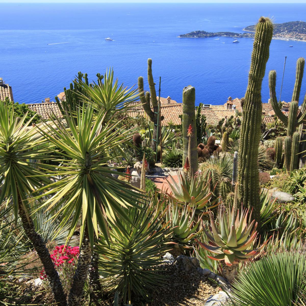The most beautiful beaches on the Côte d’Azur | Côte d’Azur France ...