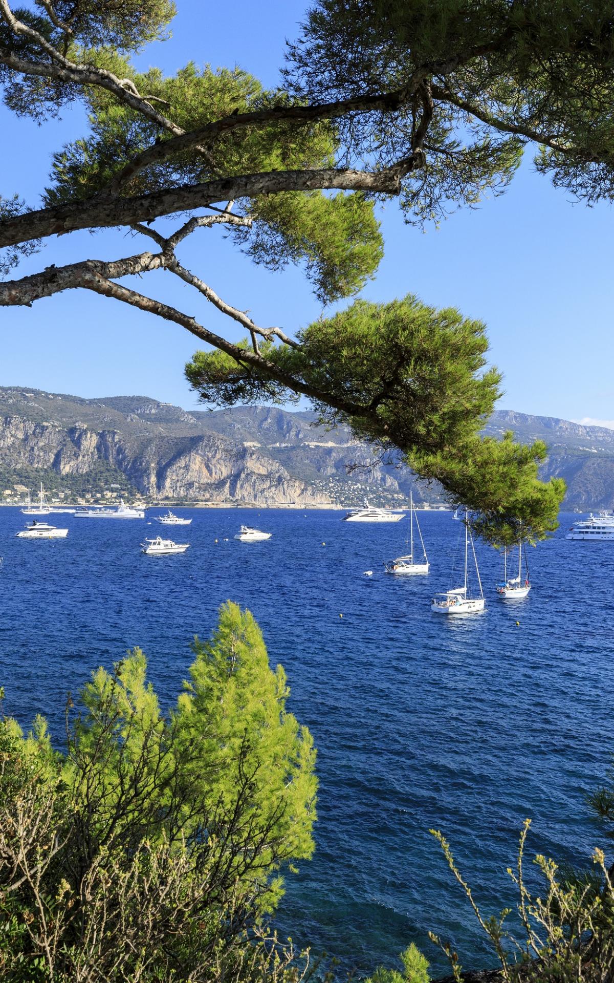 Destination Côte d’Azur France – Le Site officiel
