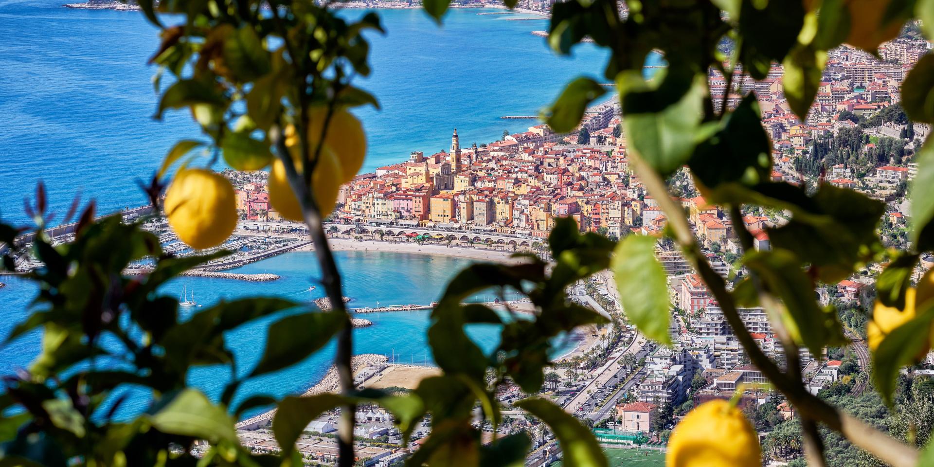 The Routes des Saveurs: on the gourmet trails of the menton lemon ...